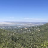 Big Rock Via Elephant Rock Trail, Utah - 2,614 Reviews, Map | AllTrails