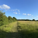 Kingsdown and Walmer Circular, Kent, England - 67 Reviews, Map | AllTrails