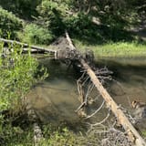 Webster's Dam/Manmade Falls, Idaho - 273 Reviews, Map | AllTrails
