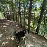 Aman Park Loop, Michigan - 1,677 Reviews, Map | AllTrails