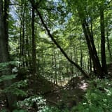 Aman Park Loop, Michigan - 1,677 Reviews, Map | AllTrails