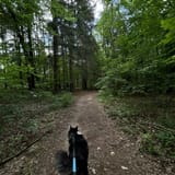 Aman Park Loop, Michigan - 1,677 Reviews, Map | AllTrails