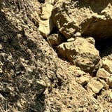 Cold Spring Loop, California - 2,462 Reviews, Map | AllTrails