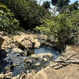 Cold Spring Loop, California - 2,462 Reviews, Map | AllTrails