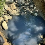 Cold Spring Loop, California - 2,462 Reviews, Map | AllTrails