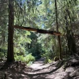 Point Defiance Park Outer Loop, Washington - 4,618 Reviews, Map | AllTrails