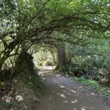 Point Defiance Park Outer Loop, Washington - 4,618 Reviews, Map | AllTrails