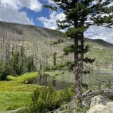 Cub Lake Loop, Colorado - 2,234 Reviews, Map | AllTrails
