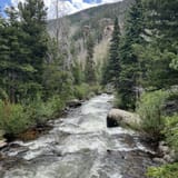 Cub Lake Loop, Colorado - 2,234 Reviews, Map | AllTrails