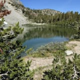 Barney Lake Trail, California - 1,252 Reviews, Map | AllTrails