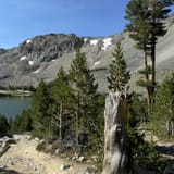 Barney Lake Trail, California - 1,252 Reviews, Map | AllTrails
