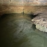 Cave Spring Loop Trail, Missouri - 401 Reviews, Map | AllTrails