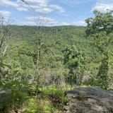 Cave Spring Loop Trail, Missouri - 401 Reviews, Map | AllTrails