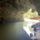 Cave Spring Loop Trail, Missouri - 401 Reviews, Map | AllTrails