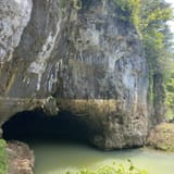 Cave Spring Loop Trail, Missouri - 401 Reviews, Map | AllTrails