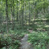 Cave Spring Loop Trail, Missouri - 401 Reviews, Map | AllTrails