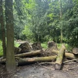 Amsterdamse Bos - Grote Vijver - Land van Bosse: 204 foto's - Noord ...