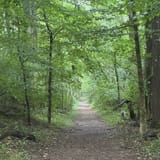 Harpeth Woods Trail, Tennessee - 2,730 Reviews, Map | AllTrails