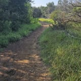Good Water Trail to Lake Georgetown, Texas - 1,256 Reviews, Map | AllTrails