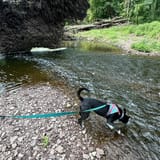 Skippack Creek Loop Trail, Pennsylvania - 4,003 Reviews, Map | AllTrails