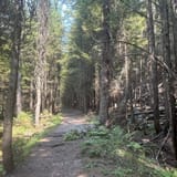Loop Brook Trail, British Columbia, Canada - 251 Reviews, Map | AllTrails
