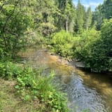 Geyser Loop Trail, New York - 2,342 Reviews, Map | AllTrails