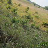 Luton Park Trail, Michigan - 1,158 Reviews, Map | AllTrails