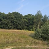 Luton Park Trail, Michigan - 1,158 Reviews, Map | AllTrails