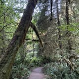 James Irvine Trail, California - 1,822 Reviews, Map | AllTrails