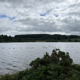 Fernworthy Reservoir Circular, Devon, England - 74 Reviews, Map | AllTrails