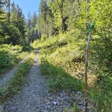 Lake Isabel Trail #1080, Washington - 424 Reviews, Map | AllTrails