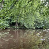 Knaresborough, Nidd Gorge, and Old Bilton Circular, North Yorkshire ...