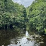 Knaresborough, Nidd Gorge, and Old Bilton Circular, North Yorkshire ...