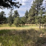 Colorow Mountain Forest and Meadow Loop Trail, Colorado - 595 Reviews ...