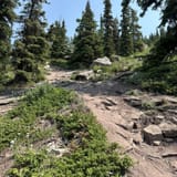 Lady Macdonald Teahouse, Alberta, Canada - 1,952 Reviews, Map | AllTrails