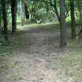 Speedwell Forge Hiking Trail, Pennsylvania - 1,098 Reviews, Map | AllTrails