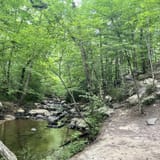Pine Log Creek Trail, Georgia - 2,530 Reviews, Map | AllTrails
