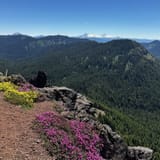 Iron Mountain Trail, Oregon - 657 Reviews, Map | AllTrails