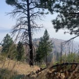 Chelan Butte Trail, Washington - 582 Reviews, Map | AllTrails