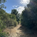 Vernal Pool Trail and Transpreserve Trail Loop, California - 415 ...