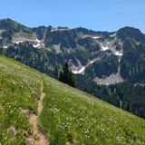 White Pass Pilot Ridge Loop Trail, Washington - 116 Reviews, Map ...