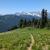 White Pass Pilot Ridge Loop Trail, Washington - 116 Reviews, Map ...