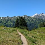 White Pass Pilot Ridge Loop Trail, Washington - 116 Reviews, Map ...