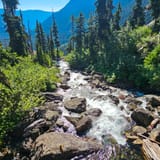 Spectacle Lake, Washington - 644 Reviews, Map | AllTrails