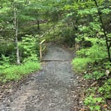 Matrimony Creek Nature Trail, North Carolina - 105 Reviews, Map | AllTrails