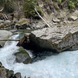 Staircase Rapids Loop, Washington - 2,766 Reviews, Map | AllTrails
