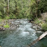 Staircase Rapids Loop, Washington - 2,766 Reviews, Map | AllTrails