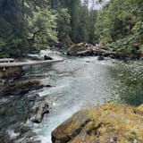 Staircase Rapids Loop, Washington - 2,766 Reviews, Map | AllTrails