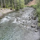 Staircase Rapids Loop, Washington - 2,766 Reviews, Map | AllTrails