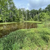 Lake Pine Loop, North Carolina - 1,291 Reviews, Map | AllTrails